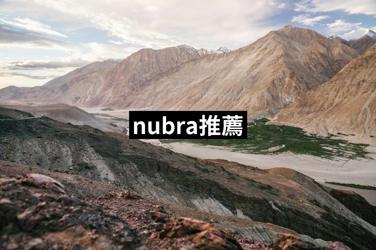 nubra推薦TOP 10【2025最新版】必買nubra排行榜 – 愛省錢